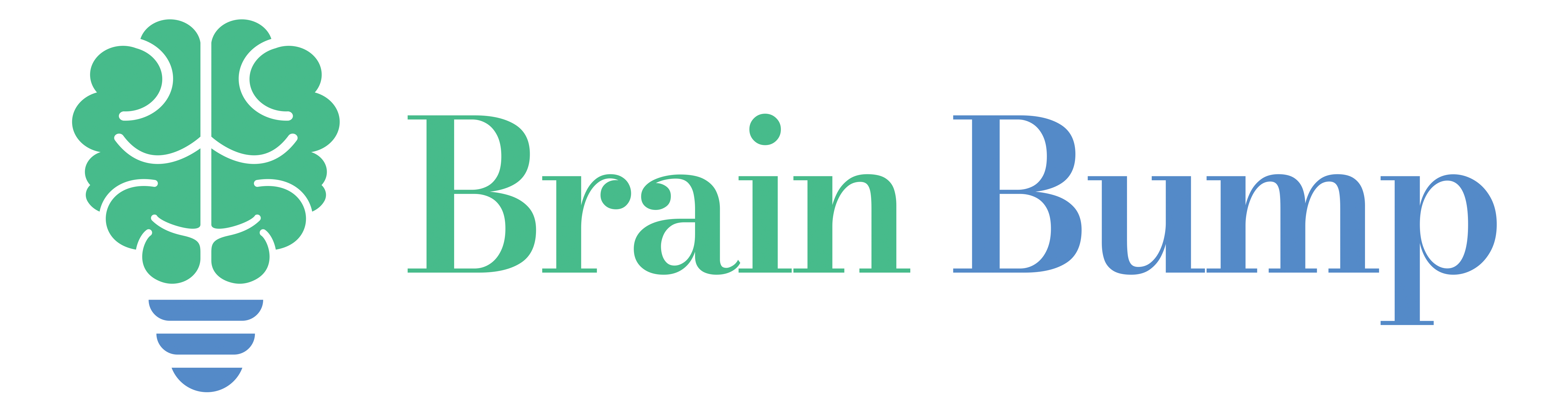 Brain Bump Homepage